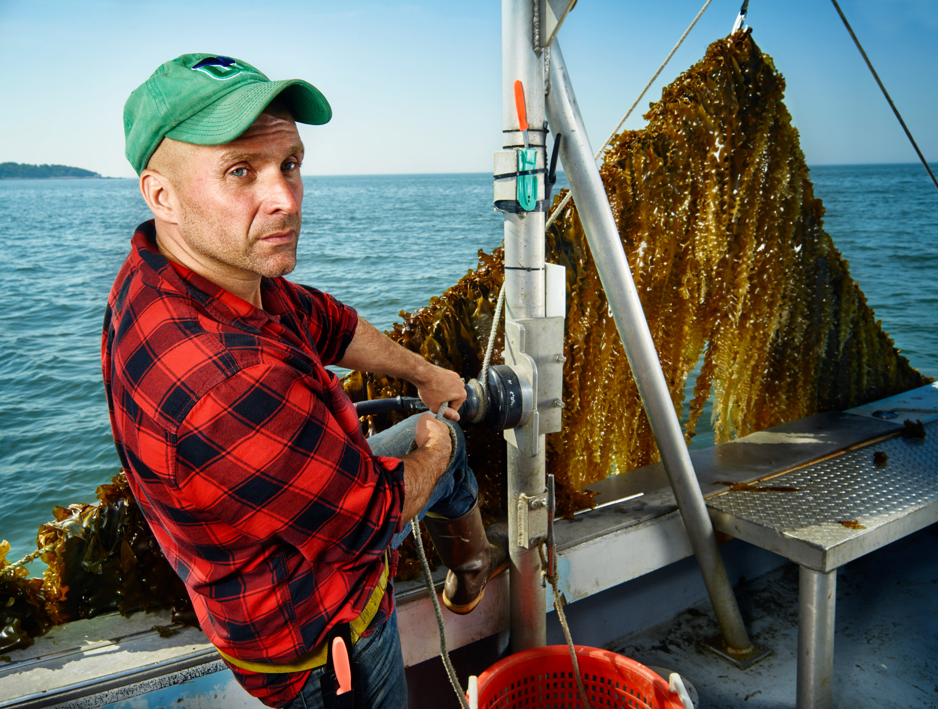 Bill Wadman, Photographer